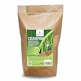 Análisis de los mejores productos para cuidar la gramilla en invierno ...