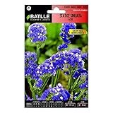 Análisis y comparativa: Todo lo que debes saber sobre la statice ...